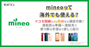 mineoのデータ通信は海外で使える？通話・SMSの設定方法も解説！ - モバワン-格安SIM・格安キャリアの情報サイト